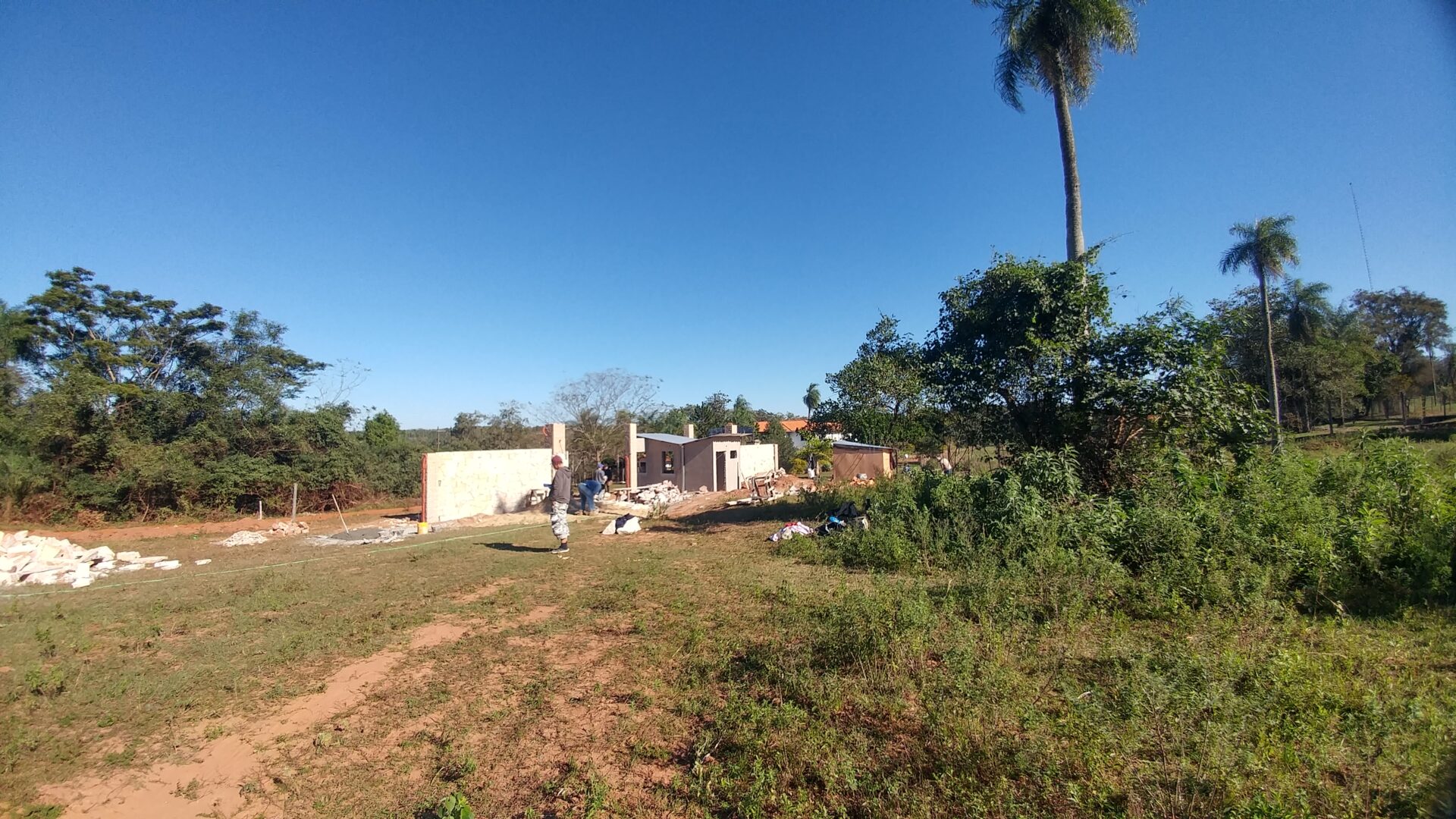 Mbuni-News – Neuigkeiten von der Mbuni-Straussenfarm